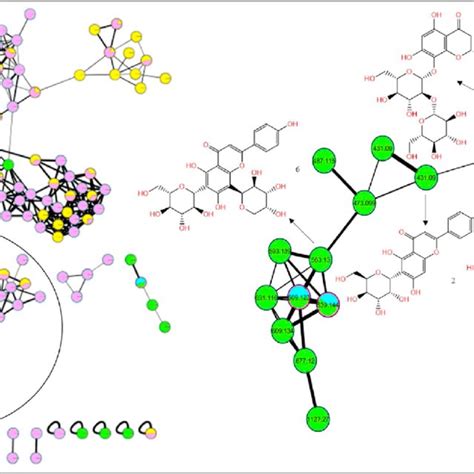 Full Molecular Network Realized Using MS MS Data From Fractions D And H Download Scientific