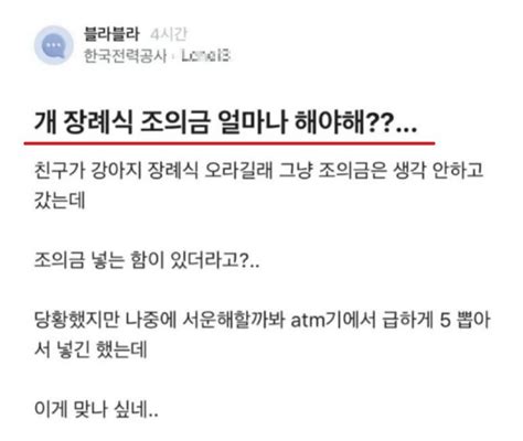 개 장례식 조의금 논란 유머 움짤 이슈 에펨코리아