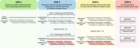 Workflow Diagram Of The Investigation Of Variant Simulated NGS Reads Download Scientific