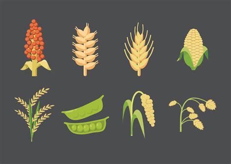 Grain Vector Art Icons And Graphics For Free Download