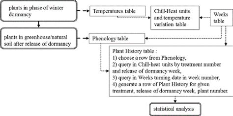 The Flow Chart Of The Database Download Scientific Diagram