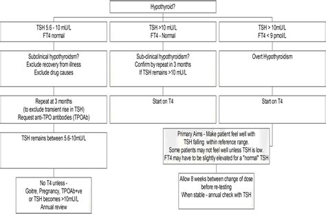Hypothyroidism And Thyroid Function Tests Refhelp
