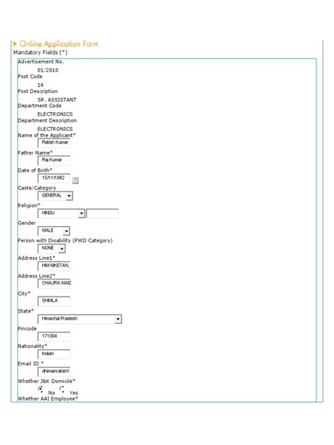 Mandatory Fields Pdf Business