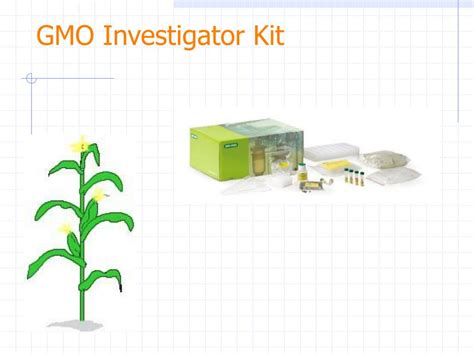 Ppt Todays Pcr Gmo Detection Powerpoint Presentation Free Download