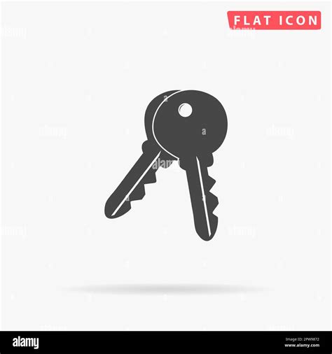 Keys Unlock Tool Simple Flat Black Symbol With Shadow On White Background Vector