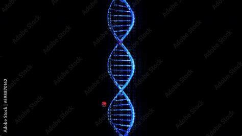 Structure Molecules DNK Rotate Loop Analysis Of Dna Spirals And Blood Molecules Of DNA