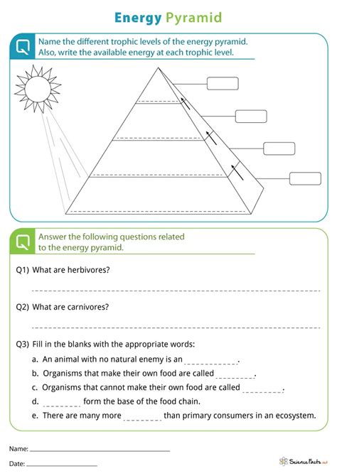Energy Pyramid Worksheets Free Printables Worksheets Library