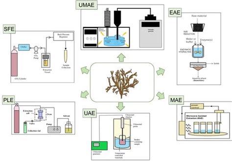 Marine Drugs Free Full Text A Critical Comparison Of The Advanced Extraction Techniques