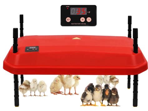 Chicken Heating Plate Brooder Nz
