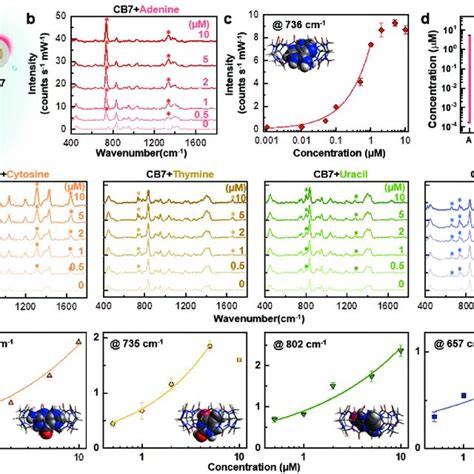 nucleobase sensing using sers a detection of nucleobases using hybrid