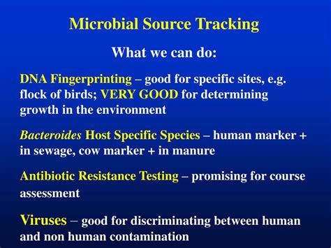Ppt Microbial Source Tracking In Lake Michigan Powerpoint