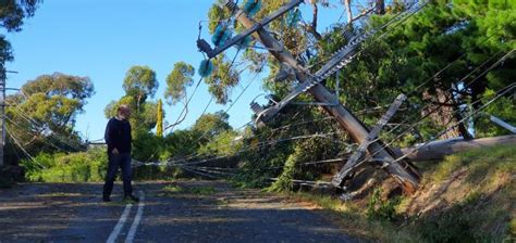 Fallen Power Lines Trees Across The Hills Ferntree Gully Star Mail