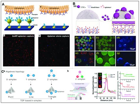 A Platform Of Multivalent Aptamer Nanospheres In Microfluidic Devices Download Scientific