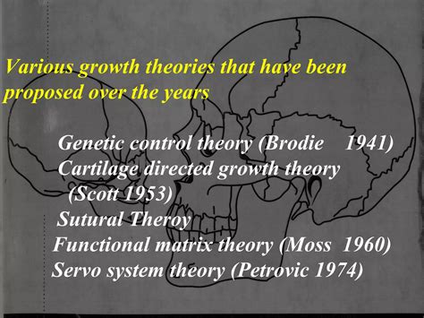 Functional Matrix Theory Ppt