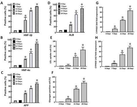 Recruitment Of Hepatocyte Specific Markers Biological Functions And Download Scientific