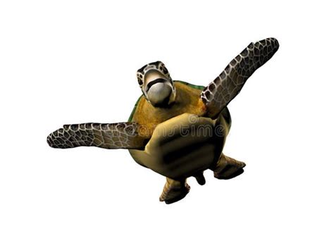 Sea Turtle Render Stock Illustrations 459 Sea Turtle Render Stock