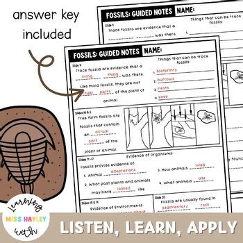 Types Of Fossils And Formation Lesson Slides And Guided Fill In The Blank Notes