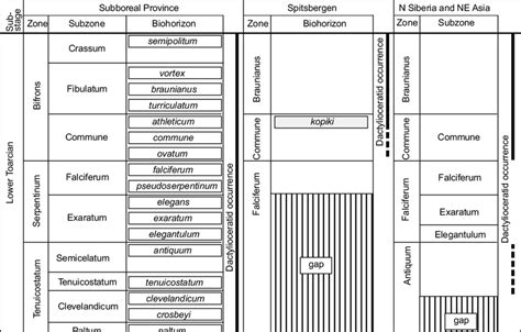 Stratigraphic Position Of The Studied Assemblage And Its Correlation
