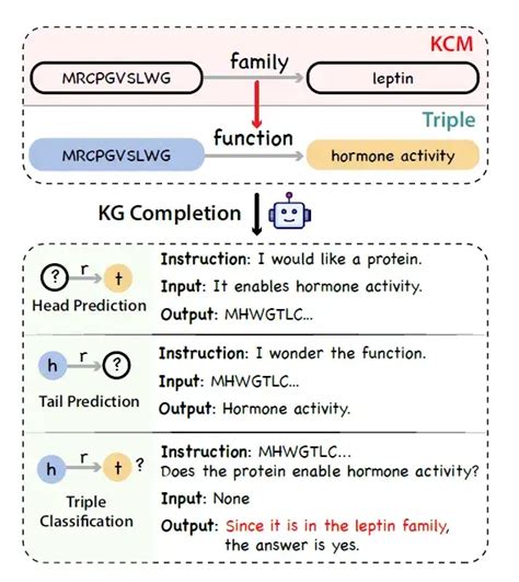 入选 Acl2024 主会 Instructprotein：利用知识指令对齐蛋白质语言与人类语言 资讯 Hyperai超神经