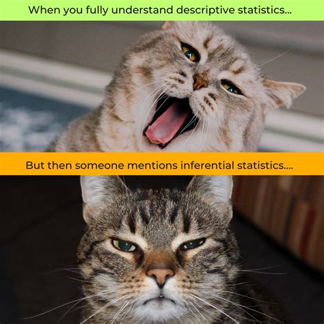 Aiswarya C K On Linkedin Statistics Data Analysis