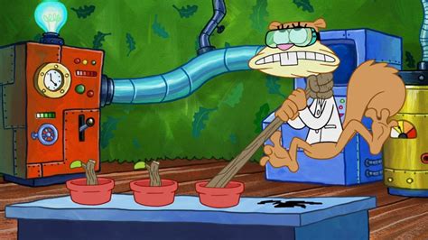 Top Sandy Cheeks Wallpaper Full Hd K Free To Use