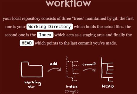 Git Beginner Flashcards Quizlet