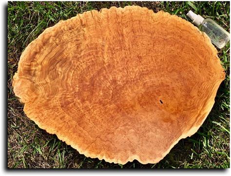 Small Medium Burl Slabs