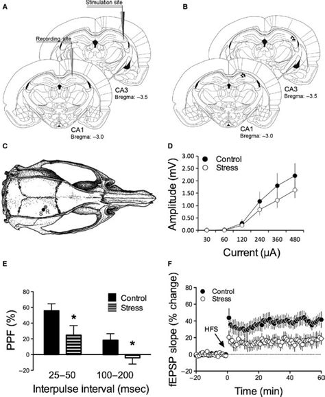 Single Channel Recordings A A Schematic Of The Single Channel Download Scientific Diagram