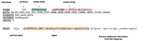 Nmap The Tool For Mapping And Assessing Network Security
