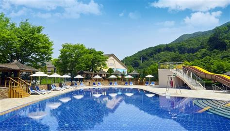 쿡앤셰프cookandchef