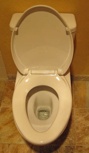 Toto Elongated Dual Flush One Piece Aquia New Ms654204mf Terry Love