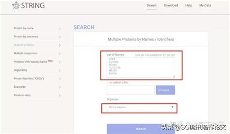 用这两个数据库做GO富集分析也太强了吧 知乎