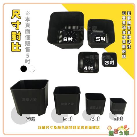 【蔬菜之家滿額免運005 D32】多肉透氣四方矮盆5吋 矮 黑色 白色2色可選 ※請選擇超商配送宅配運送※ Yahoo奇摩拍賣