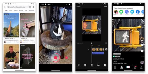 GitHub Maxklein Tiktok Tiktok App