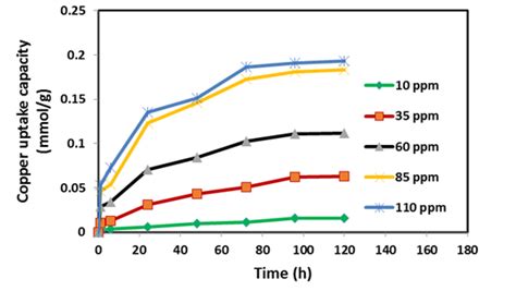 Copper Adsorption Capacity Vs Time Of Adsorption With Several Of