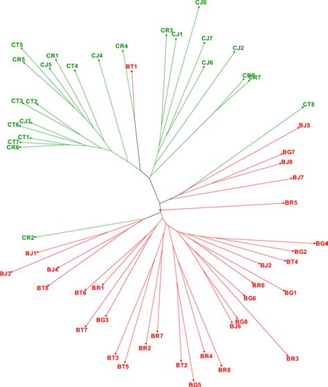 Unrooted Neighbor Joining Tree Of Cannabis Individuals Using A Radial