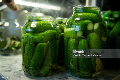 오이를 절이는 과정 절인 오이 수제 피클 소금에 절인 오이 건강한 생활방식에 대한 스톡 사진 및 기타 이미지 건강한 생활방식 건강한 식생활 겨울 Istock