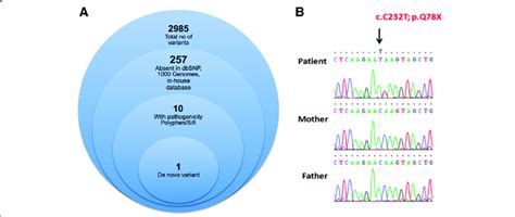 Filtering Strategy Used For Identification Of A Causative Mutation Download Scientific Diagram