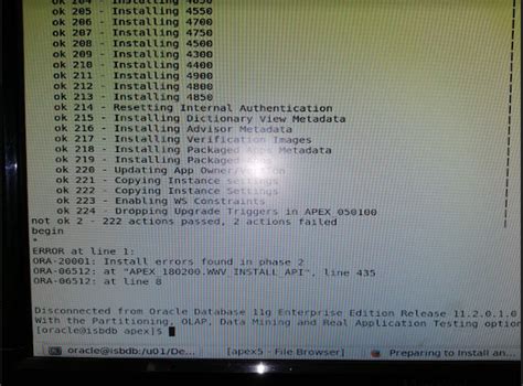 Oracle11g Installation Failed During Oracle Application Express 182