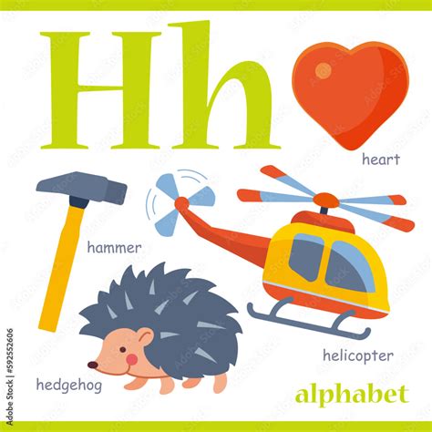 Alphabet Letter H With Cartoon Vocabulary Illustration Heart Helicopter Hedgehog Hammer
