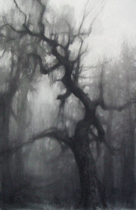 Charcoal Drawing Of A Tree In The Woods