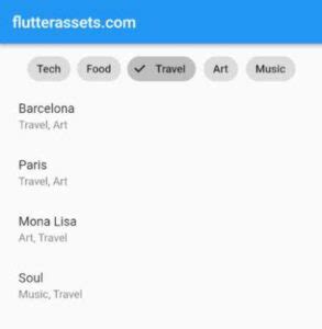What Is The Flutter RawChip Widget And How To Use It