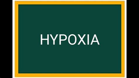 What Is Hypoxia Definition Types Symptoms Causes Video 54 Off