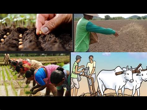 Methods Of Sowing Seeds General Voca… English Esl Video Lessons