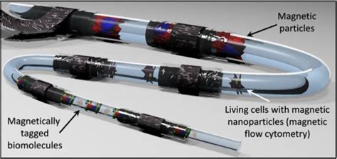 Concept Of Isotropic Detection For Biomedical Applications Download Scientific Diagram