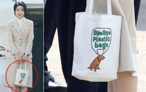 에코백 든 김건희 여사 권익위 명품백 사건 종결 의식 한국일보