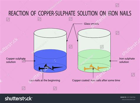 Vector Diagram Show Reaction Copper Sulphate Stock Vector Royalty Free 1817284760 Shutterstock