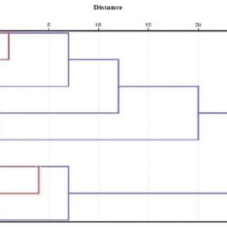 Dendrogram Of Hierarchical Clustering To Root R And The Leaf L Of
