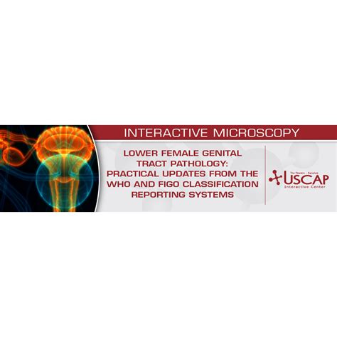 Uscap Lower Female Genital Tract Pathology Practical Updates From The Who And Figo