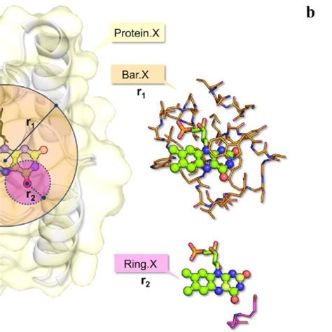 Examples Of Features For Flavin Surrounding Description A Features Download Scientific